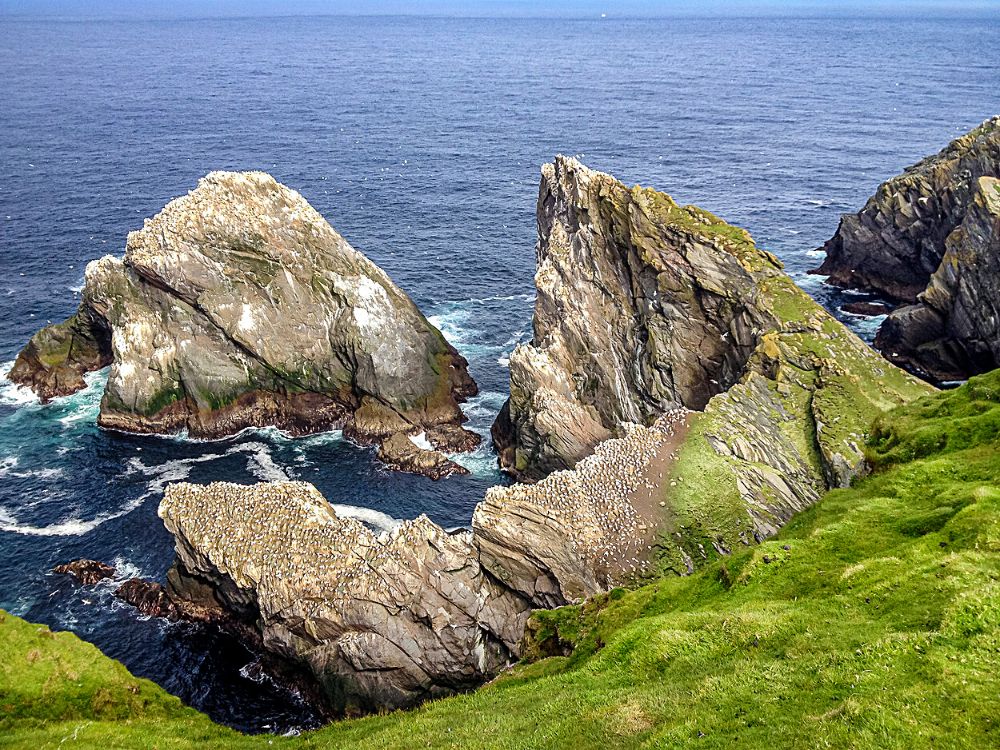 Things to see & do whilst visiting Shetland Isles - Area info - Around ...